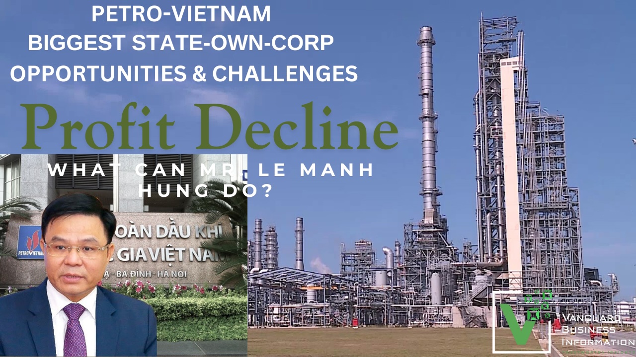 UNDERSTANDING THE 2ND LARGEST COMPANY IN VIETNAM: PETROVIETNAM - VBI